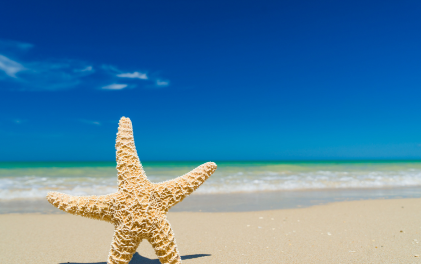 The Starfish Story